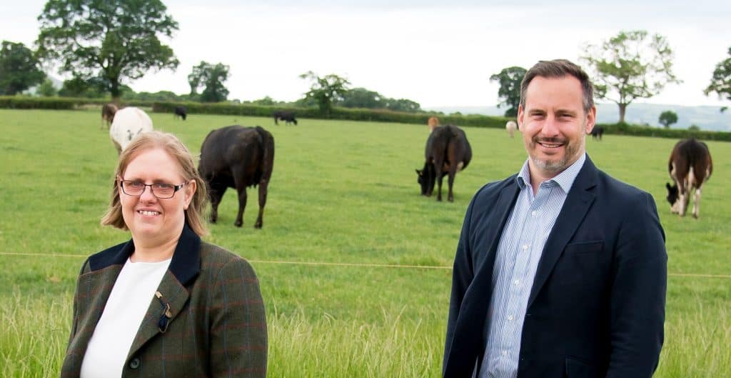 Top Shropshire lawyers highlighted in legal rankings - NewsToYou